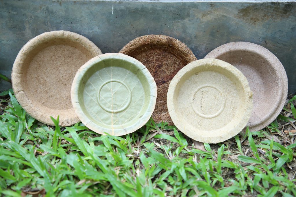 Bio-based Packaging – TISTR International