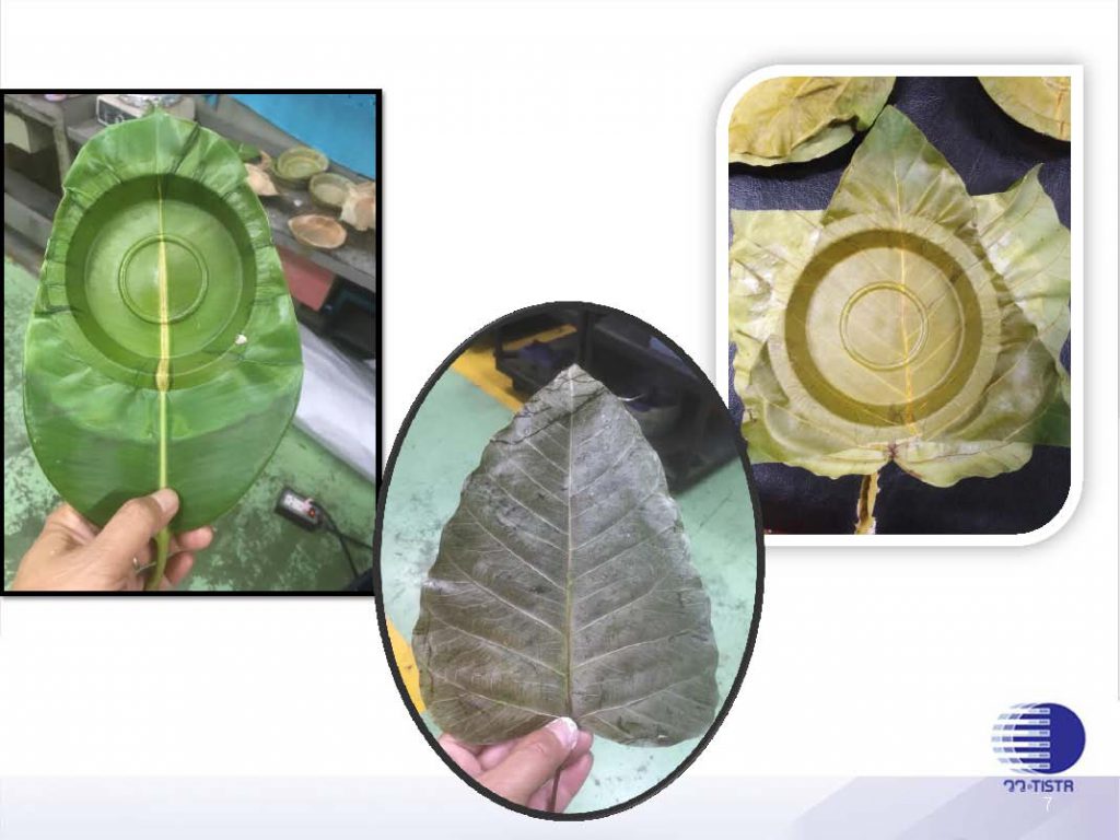 Bio-based Packaging – TISTR International