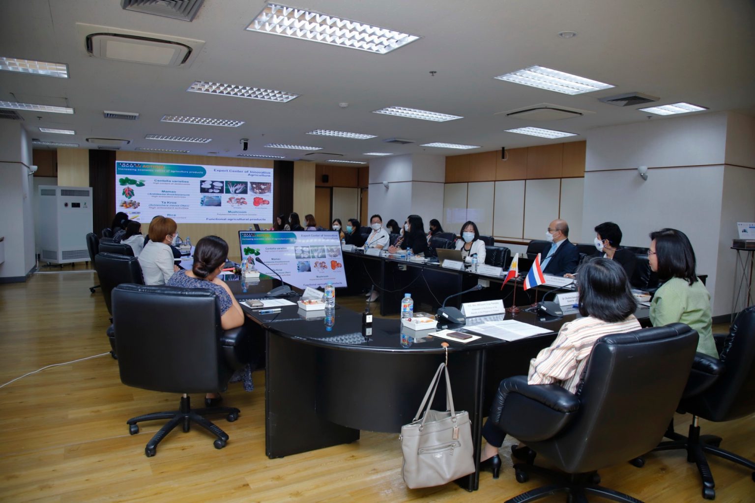 The Visit of H.E. Mrs. Millicent Cruz Paredes, Ambassador of the ...